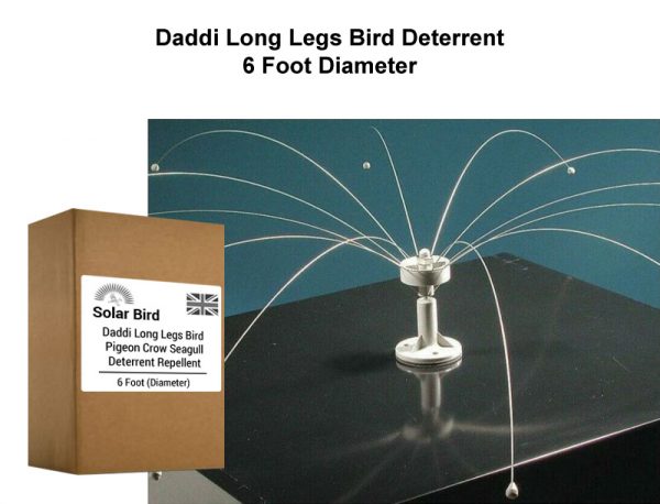 Daddi Long Legs - 2 feet diameter - Solar Bird Ltd.