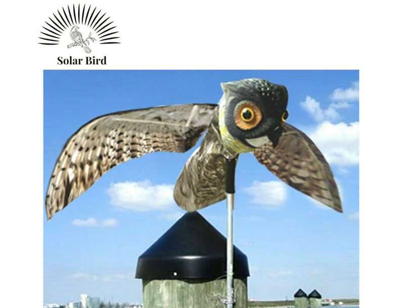 Home - Solar Bird Ltd.