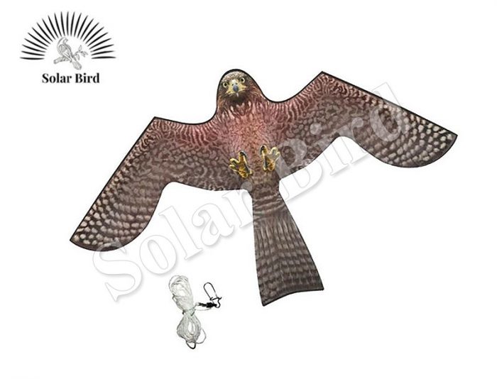 Flying Hawk Kite Bird Repellent With 6m Extendable Telescopic Pole ...