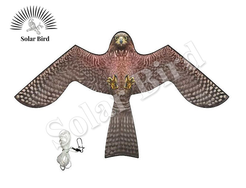 Flying Hawk Kite Bird Repellent With 6m Extendable Telescopic Pole ...