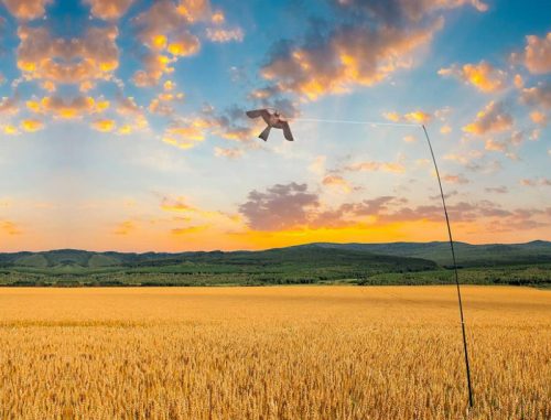 Flying Hawk Kite Bird Repellent With 6m Extendable Telescopic Pole ...