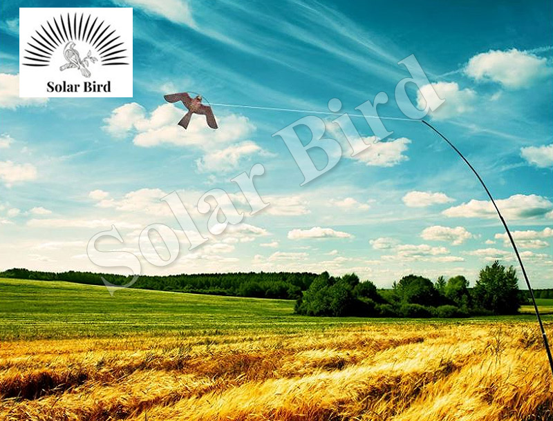 Flying Hawk Kite Bird Repellent With 6m Extendable Telescopic Pole ...