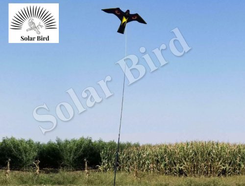 Golden Flame Eagle Kite Bird Repellent With 6m Extendable Telescopic ...