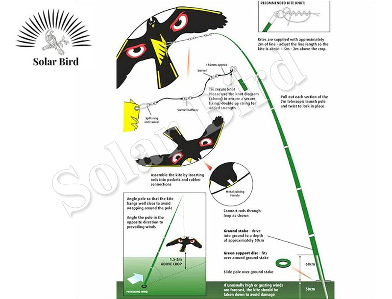 Golden Flame Eagle Kite Bird Repellent With 6m Extendable Telescopic ...