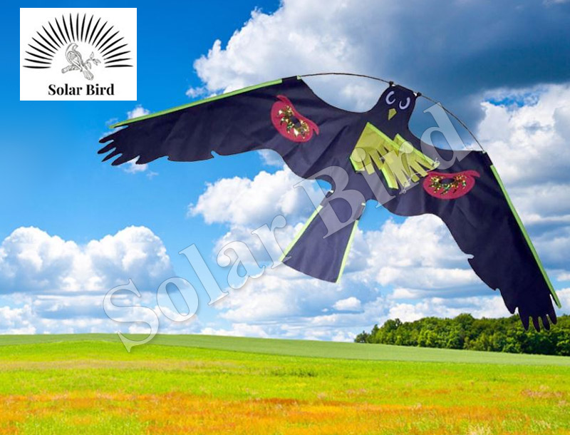 Golden Flame Eagle Kite Bird Repellent With 6m Extendable Telescopic ...