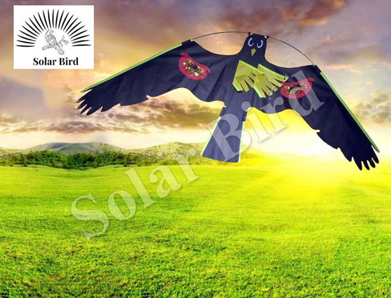 Golden Flame Eagle Kite Bird Repellent With 6m Extendable Telescopic ...