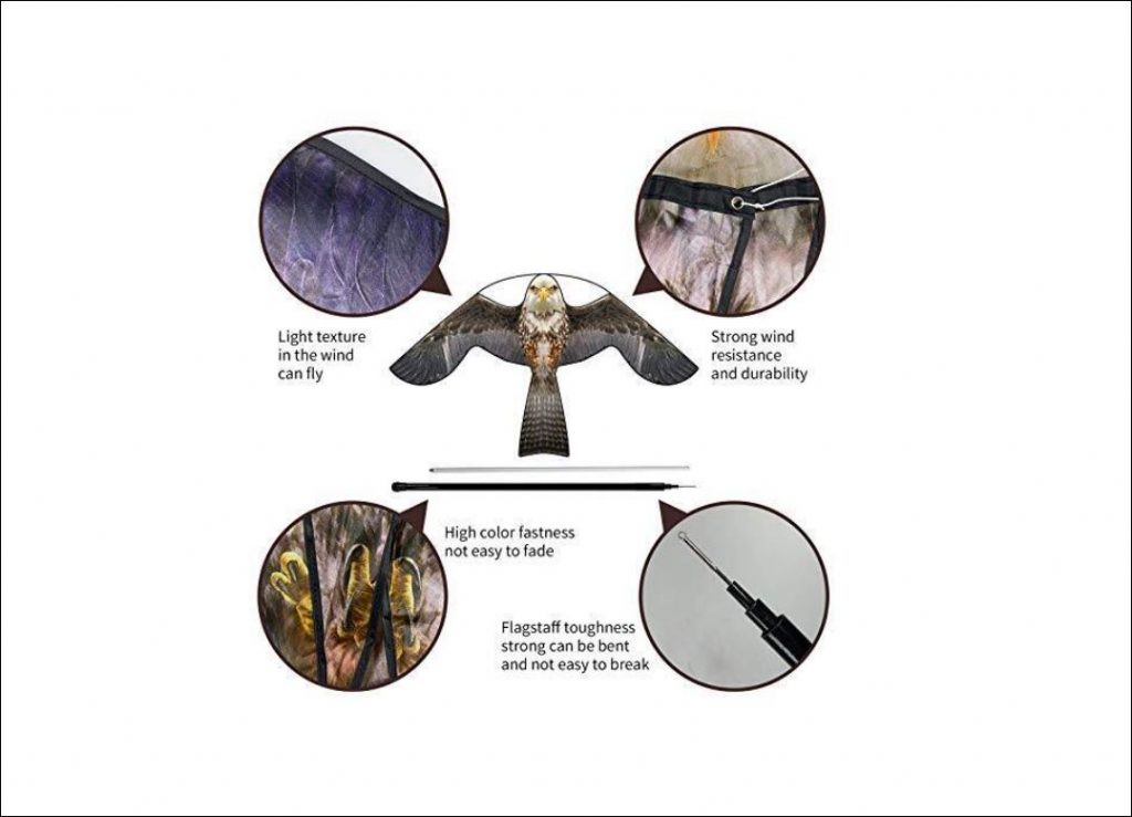Golden Eagle Kite Bird Repellent With 6m Extendable Telescopic Pole ...